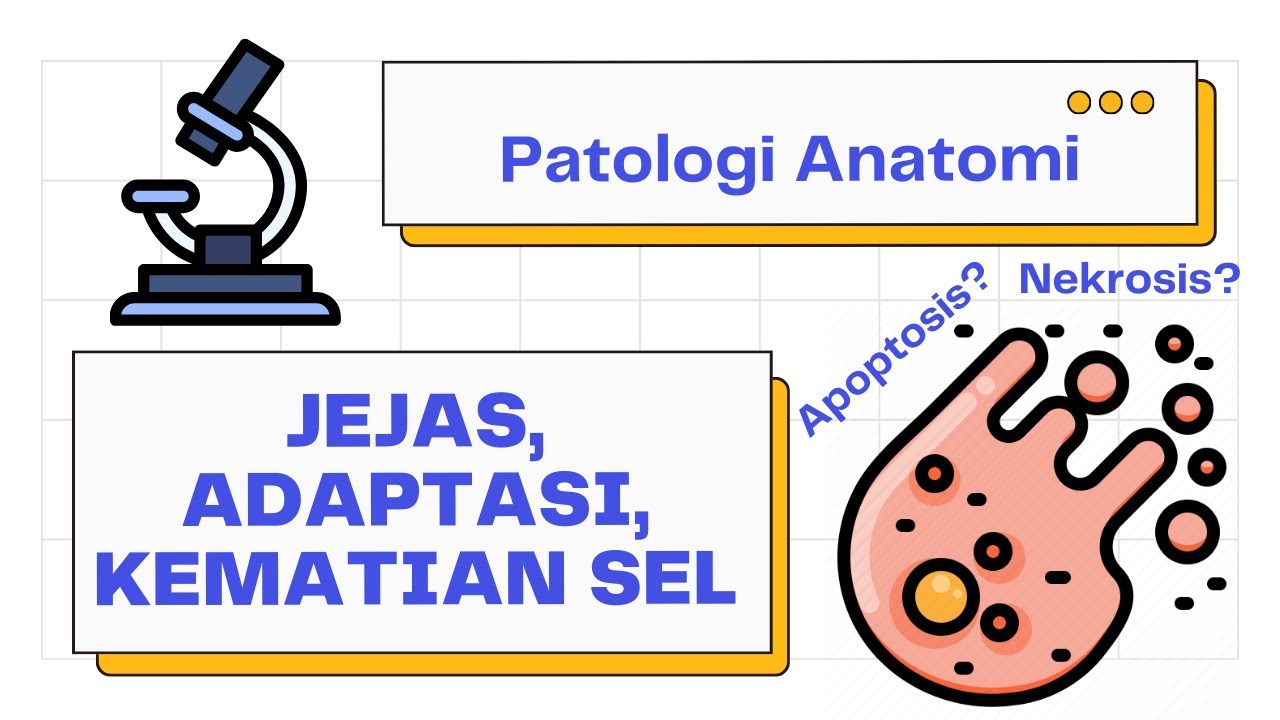 Injury, Adaptation, and Cellular Death (Necrosis & Apoptosis) | Anatomical Pathology 101