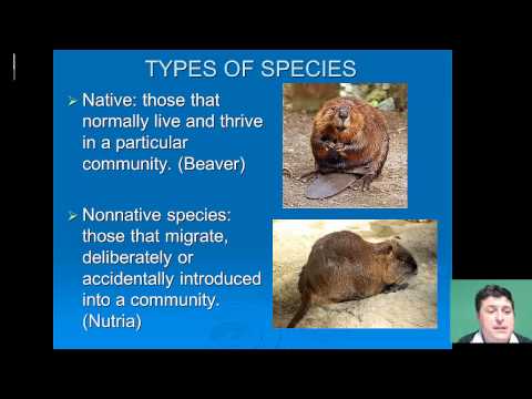 Species Roles and Diversity 2013