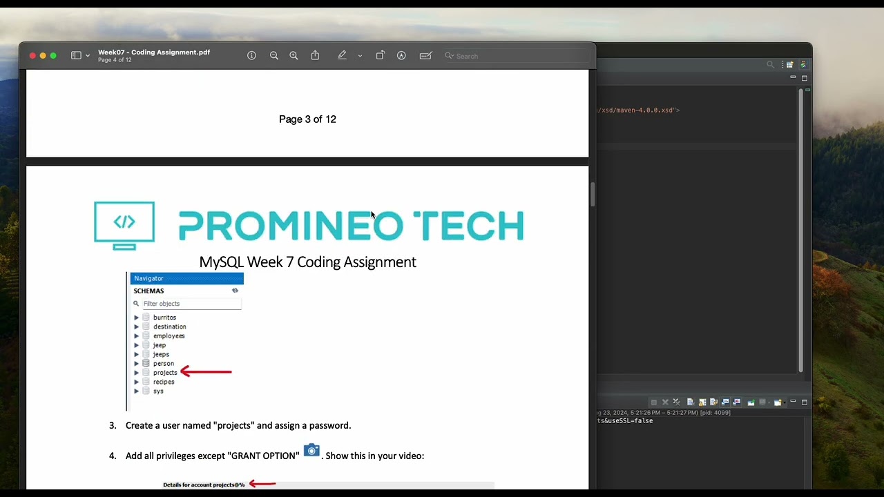 Week 07 - Coding Assignment - Video