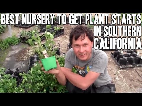 Best Nursery to get Plant Starts for Los Angeles Gardening