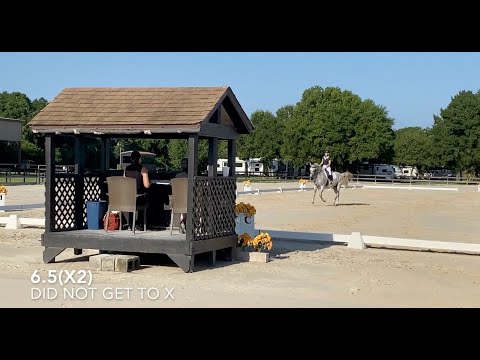 USEF Dressage First Level Test 3--with judge scores and comments
