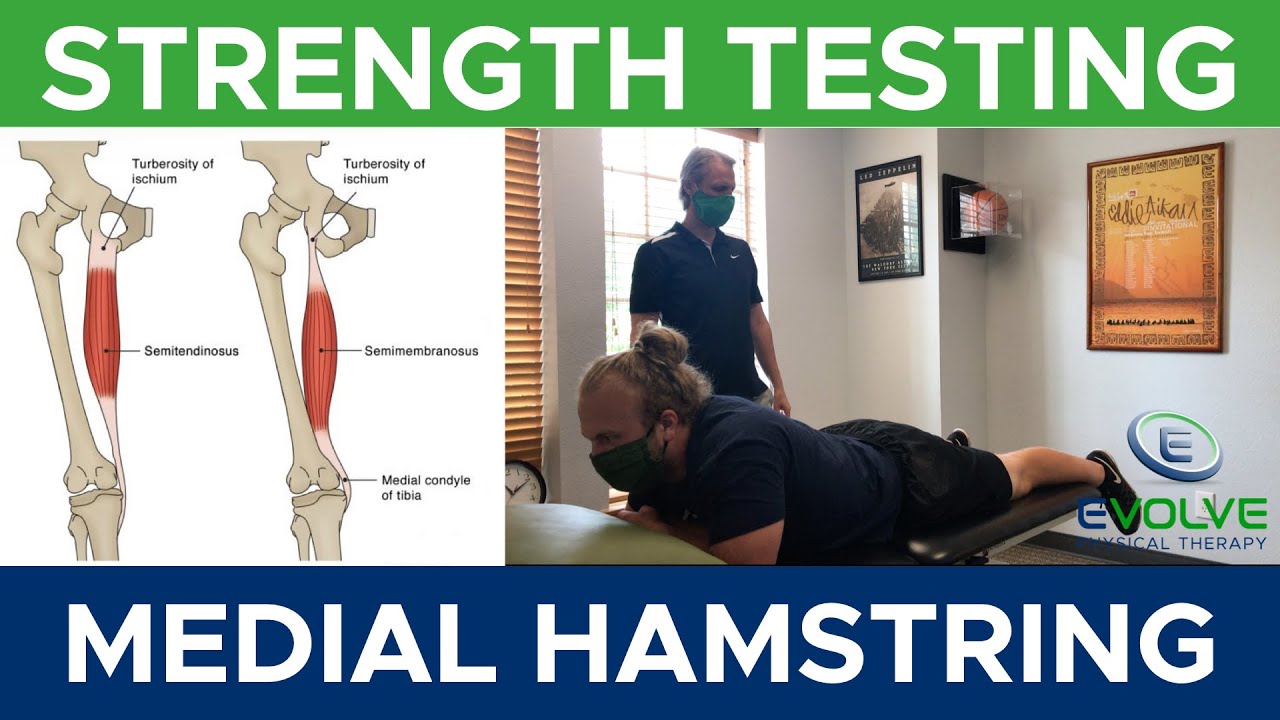 Medial Hamstring | Strength Testing with a Hand Held Dynamometer