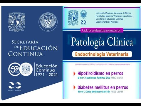 Patologia clinica