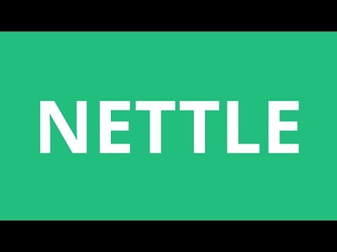 How To Pronounce Nettle - Pronunciation Academy
