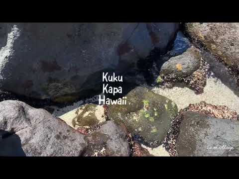 Hawaiian Kapa