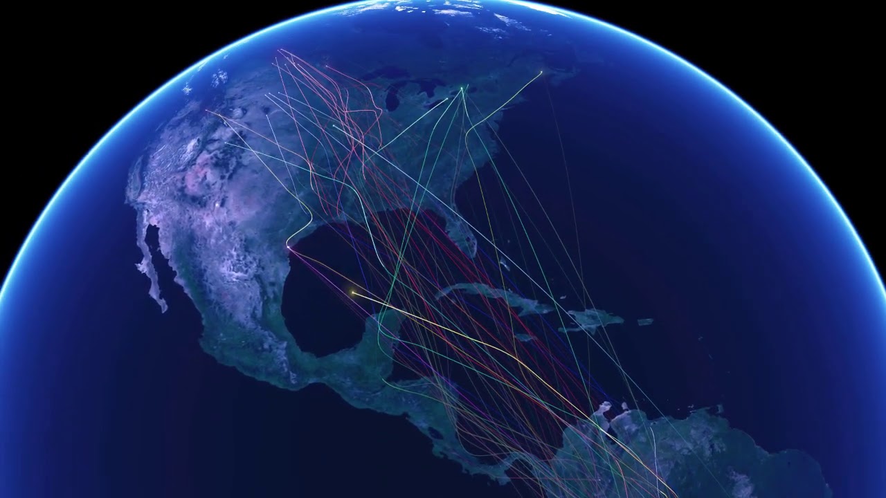 Common Nighthawk Migration Animation
