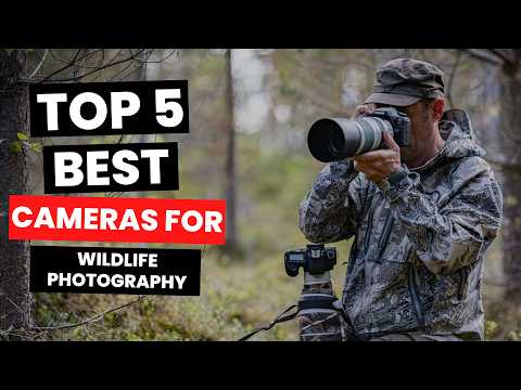 Best Camera for Wildlife Photography 2025 - (Watch Before You Purchase)