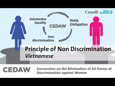 CEDAW - Principle of Non Discrimination (Vietnamese)