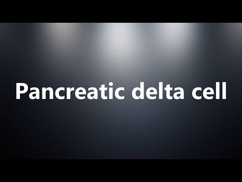 Pancreatic delta cell - Medical Definition and Pronunciation