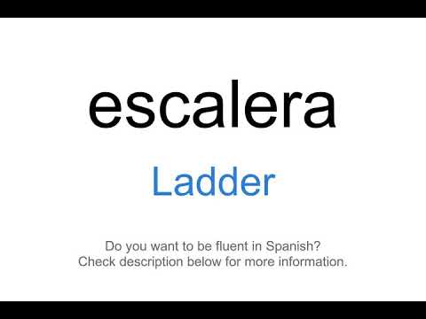 How to say "Ladder" in Spanish | escalera