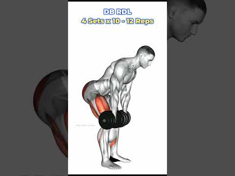 This is the ONLY Full Body Workout You Need