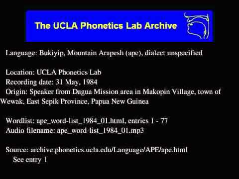 Bukiyip audio: ape_word-list_1984_01