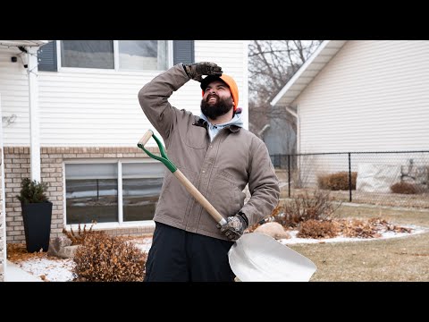 Monday chuckles | bluebird of bitterness