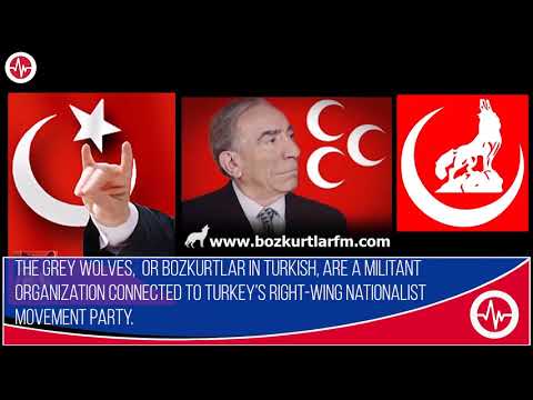 Fact Check: Turkish Government Falsely Denies Existence of Nationalist Group