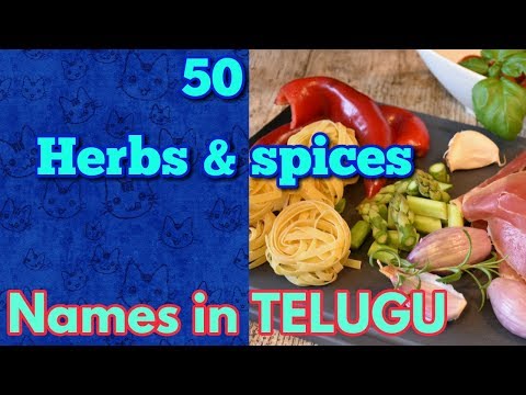The Indian SPICES (Masala) & Lentils Names in English to Telugu (Part 1)