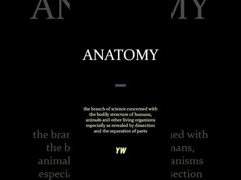 Anatomy #How to pronounce and meaning of the word #learnenglish #vocab #vocabulary #english