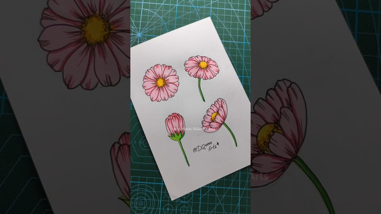 How to draw flowers for beginners 🌼 #art #drawing #drawingtutorial #howtodraw #dqueenarts