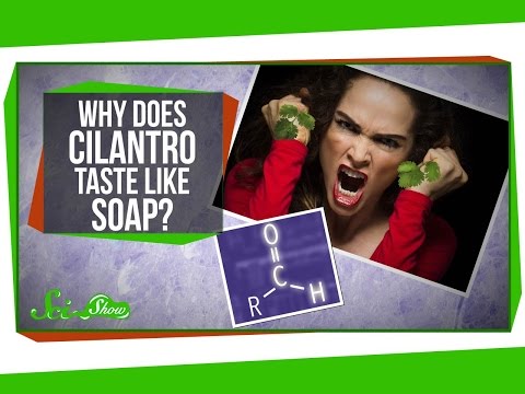 Why Some People HATE Cilantro and Others Don't