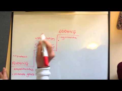 Tuckman's team deveopment theory; Reflection