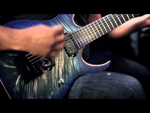 Periphery Mayones Duvell Elite 7 Evertune Studio Guitar Owned | Reverb