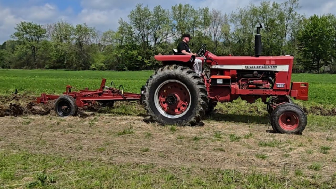Farmall 826 Tractor: Chisel Plowing