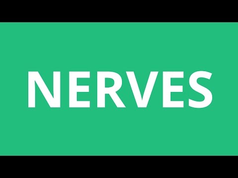 How To Pronounce Nerves - Pronunciation Academy