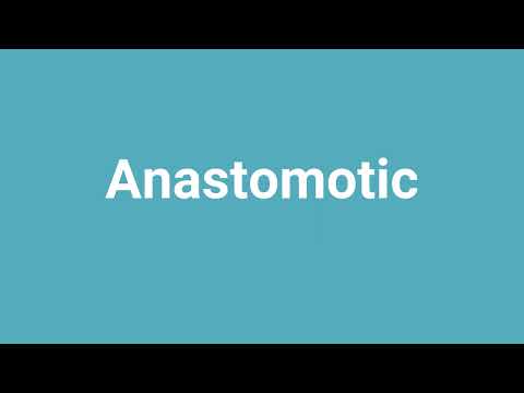 'Anastomotic' Meaning and Pronunciation