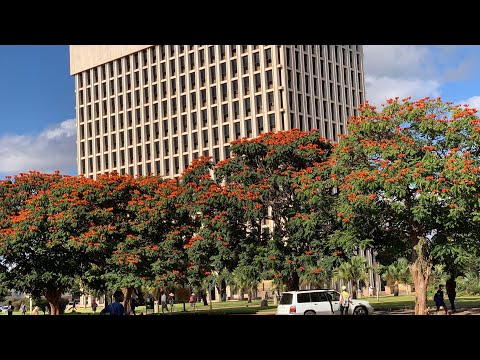 Discover Zimbabwe s Second largest City BULAWAYO. One of most Developed City in Southern Africa