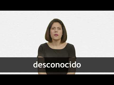 English Translation of “DESCONOCIDO” | Collins Spanish-English Dictionary