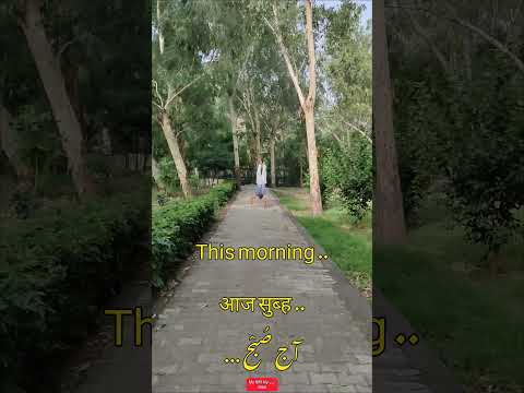 Dictionary 3060 | aaj Subah | Sub.h | This morning | MHMU | My हिंदी My اُردُو | urdu | Hindi | Moin