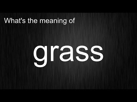 What's the meaning of "grass", How to pronounce grass?