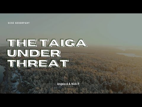 Threats To The Taiga - GCSE Geography Revision