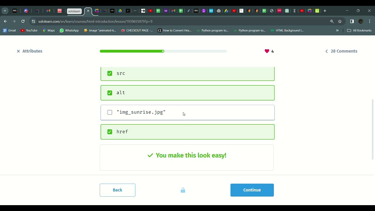 18 Attributes | Introduction to HTML | Sololearn