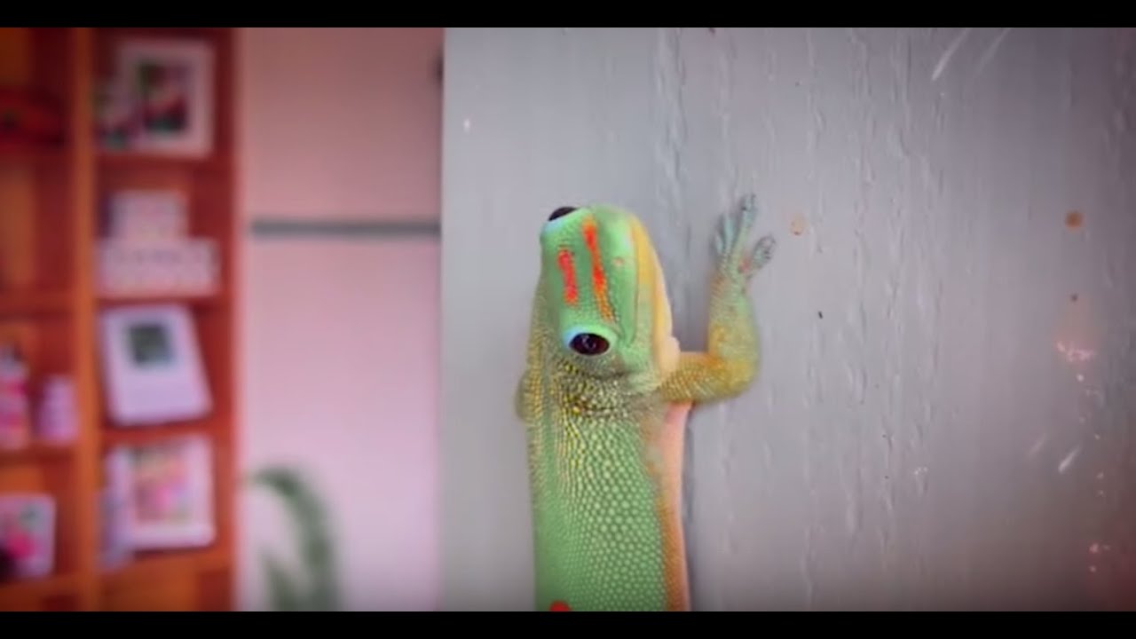 NASA Robot to Inspect Space Station Using Gecko Technology - autoevolution