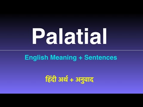 Palatial means - on a large scale with elaborate furnishings ; ā¤ā¤˛āĨā¤ļā¤žā¤¨, ā¤ļā¤žā¤¨ā¤Ļā¤žā¤° - (ā¤šā¤ŋ⤍āĨā¤ĻāĨ ā¤ŽāĨā¤)