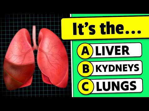 How Many Human Body Parts Can You Guess? 🧠🦴🦵 | General Knowledge Quiz