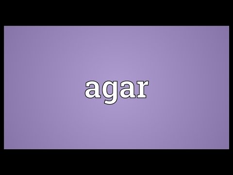 Agar Meaning
