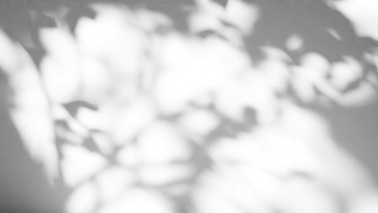 Tree Leaves Shadow Overlay #02 - 4k Video Loop