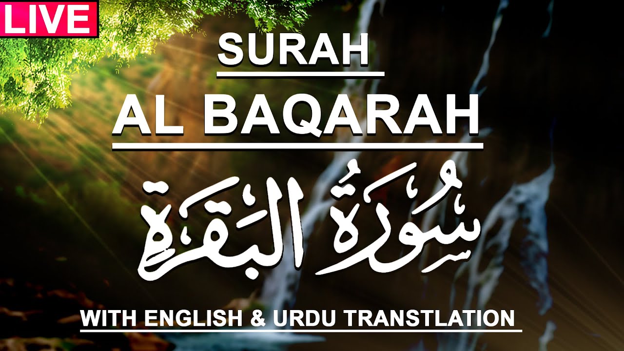 LIVE Surah Al Baqarah Fast Recitation سورة البقره Surah Baqarah In Arabic