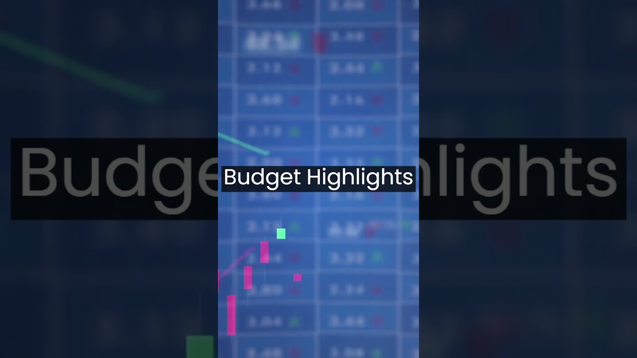 BUDGET 2023 HIGHLIGHTS | cheaper & Expensive