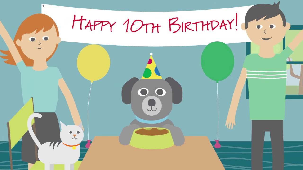 Senior Pet Care 101: Our Top Tips