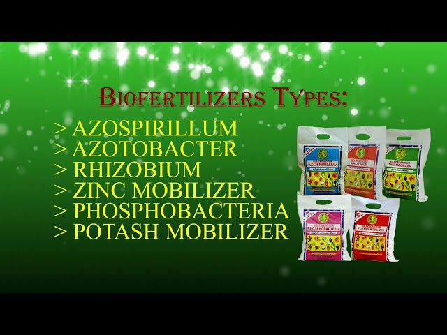 Bio Fertilizer - 25 Kg Vermicompost Bio Fertilizers Trader - Retailer ...