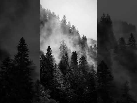 Dark Aesthetic Wallpapers!!!