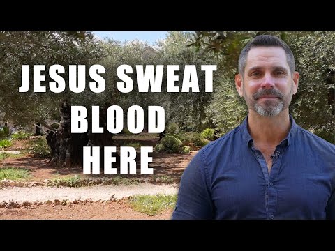 Garden of Gethsemane | A Quick Explanation