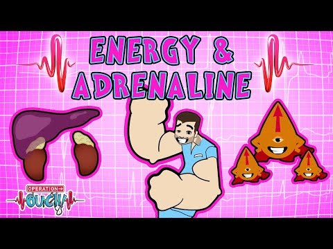 Science for kids | Body Parts - ENERGY & ADRENALINE | Operation Ouch | Experiments for Kids