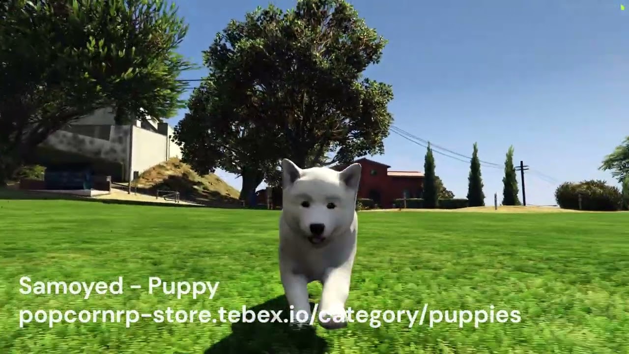 Husky Puppy - Addon Dog Ped - FiveM Releases - Cfx.re Community