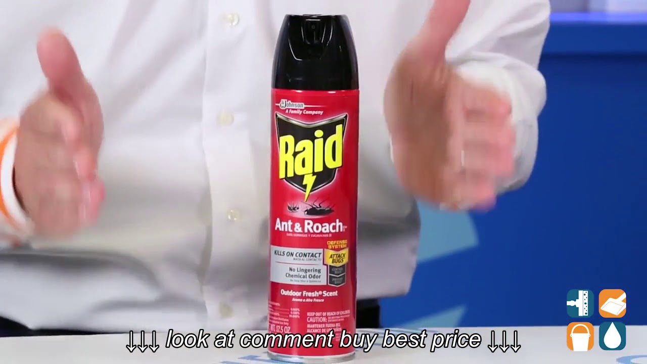 Raid Ant and Roach Killer, 17 5 oz  Aerosol Can
