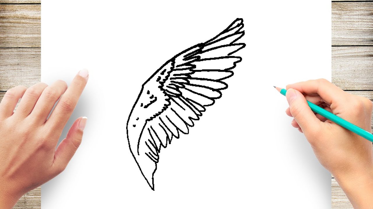 How to Draw Wings Step by Step Easy for Kids