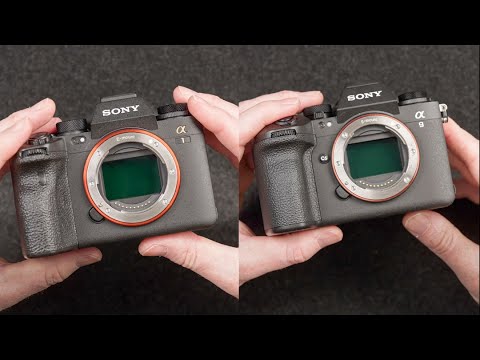 Sony A9 III vs A1: Real world comparison (ILCE-9M3)