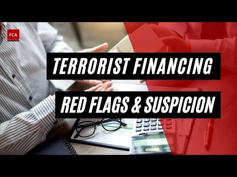 Terrorist Financing: Deciphering Suspicious Activities and Behaviors